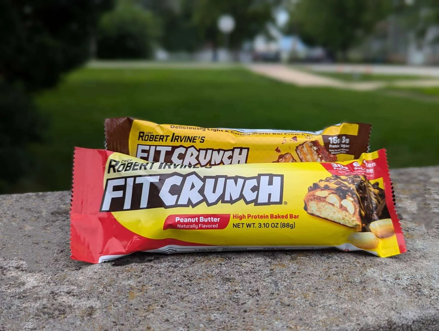 FitCrunch Protein Bars: Are They Healthy? | Human Food Bar