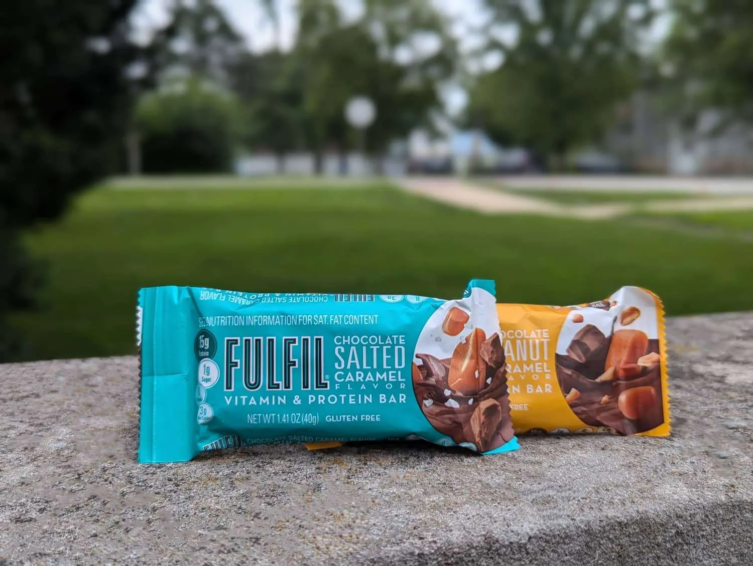 Are Fulfil Protein Bars Healthy? | Human Food Bar